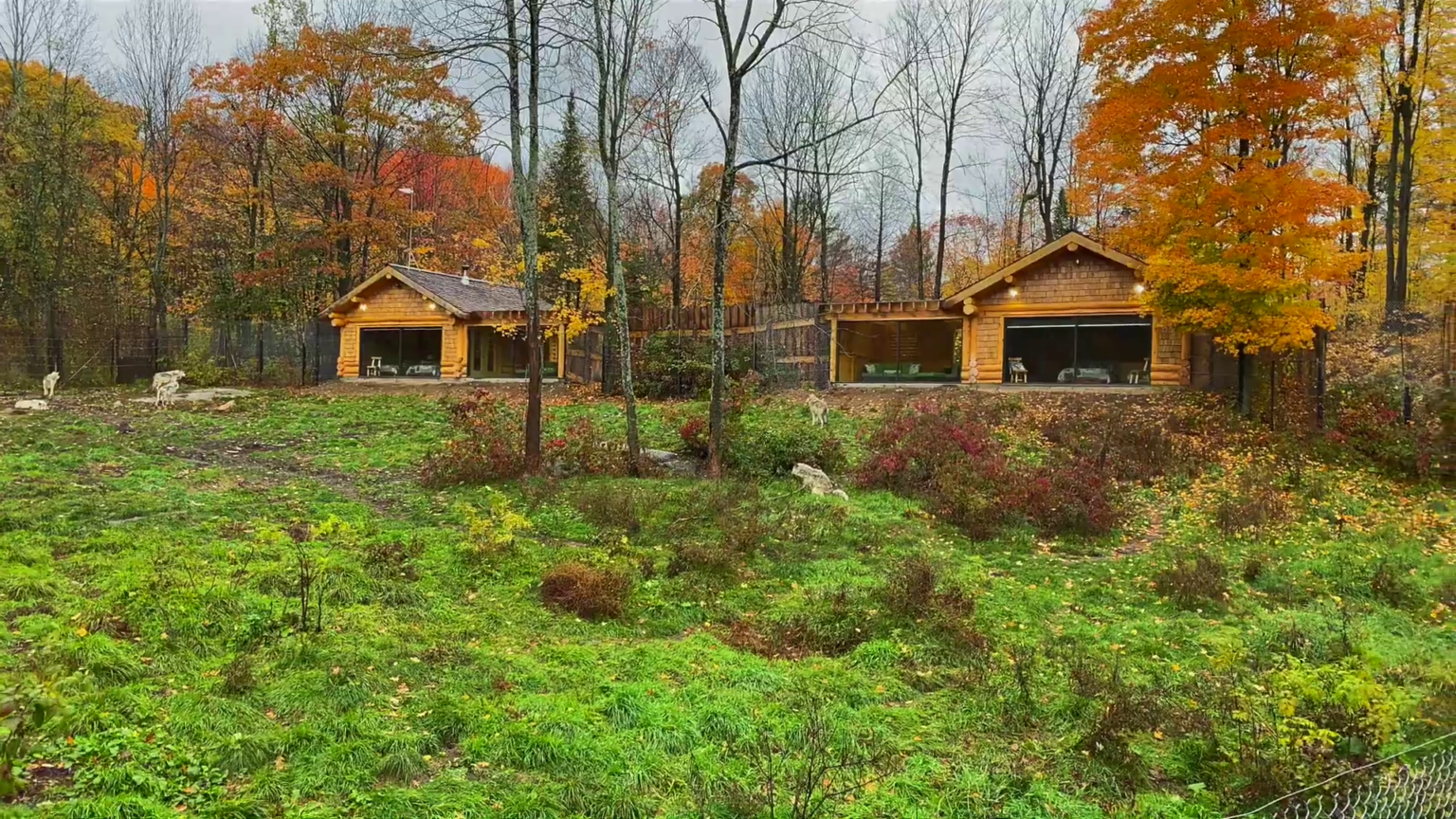 Parc Omega Winter Guide: Sleep With Wolves in Quebec’s Ultimate ...