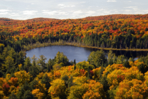 Muskoka Complete Guide: Canada's Best-Kept Secret Lake District, A ...