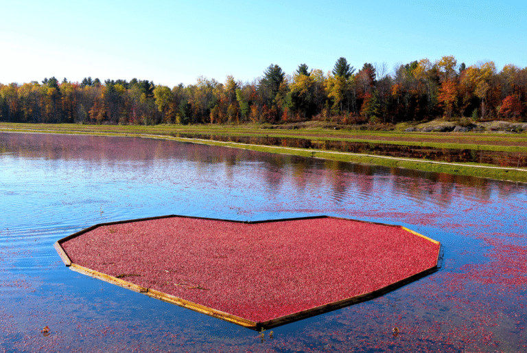 Muskoka Complete Guide: Canada's Best-Kept Secret Lake District, A ...